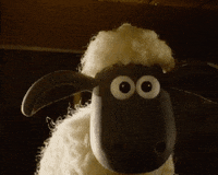 Angry Sheep Gif