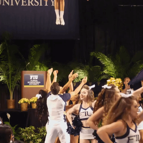 Fiu Cheerleading