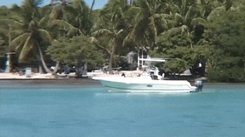 Kissimmee Florida GIFs - Find & Share on GIPHY