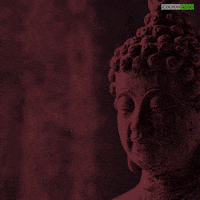 Lord Buddha Animated Images