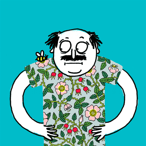 Uglygifs GIFs - Get the best GIF on GIPHY