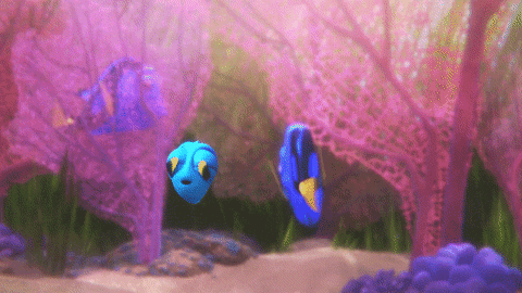 Blue Tang Fish GIFs - Get the best GIF on GIPHY