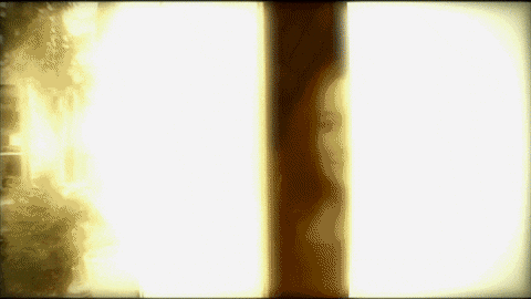 Neighbor GIF by The Maury Show - Find & Share on GIPHY