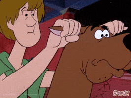 Scooby Doo Laughing GIFs - Find & Share on GIPHY