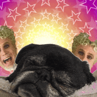 Will Ferrell Zoolander Gif