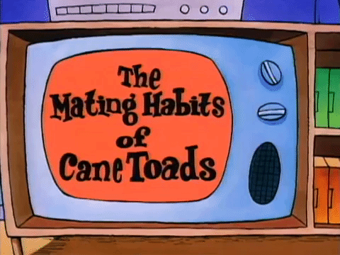 Cane-toad GIFs - Get the best GIF on GIPHY