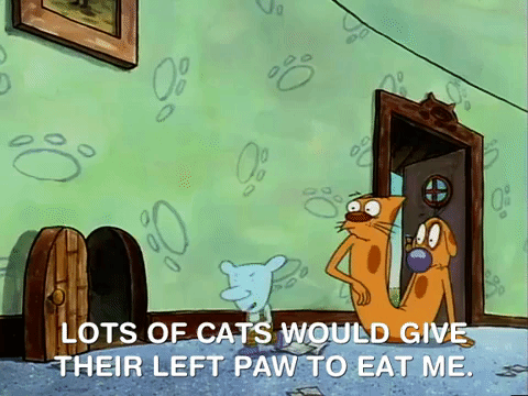Lots Of Cats Gif
