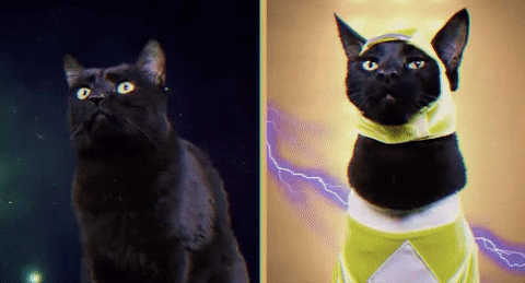 Mighty Morphin Power Rangers Cat GIF by Power Rangers - Find & Share on ...