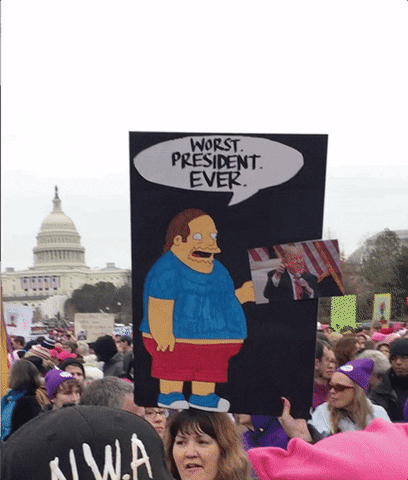 Washington Dc GIF by Suze Perlov - Find & Share on GIPHY