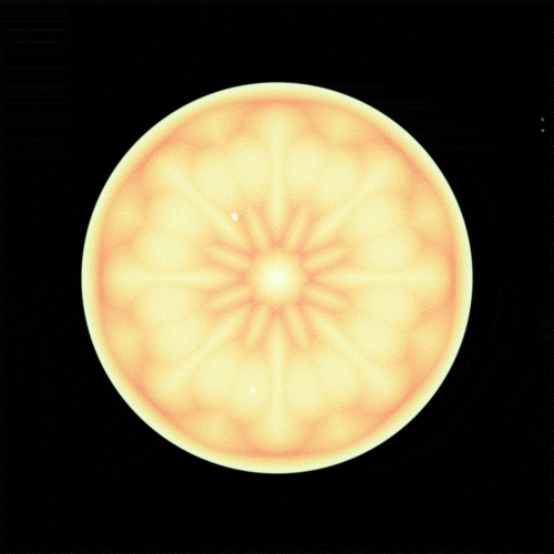 Blue Sun GIFs - Get the best GIF on GIPHY