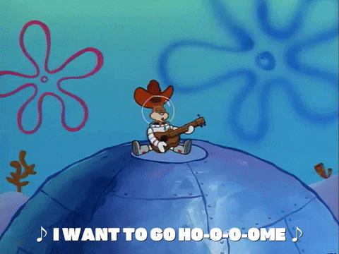 Sandy Cheeks I Wanna Go Home