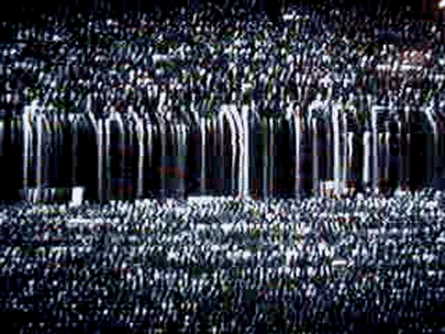 Vhs GIF by Royal Smith - Find & Share on GIPHY