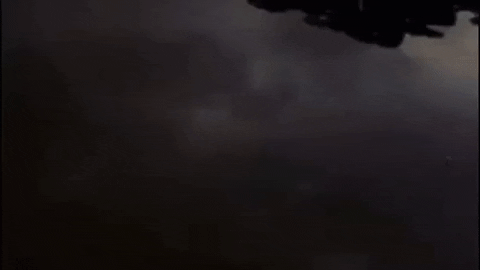 Bird Reflection GIFs - Get the best GIF on GIPHY