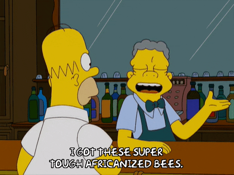 Yelling-at-bees GIFs - Get the best GIF on GIPHY