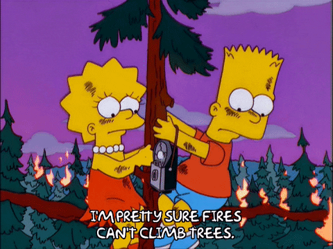 Climbing-trees GIFs - Get the best GIF on GIPHY