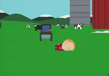 Cow Timmy Burch GIF by South Park - Find & Share on GIPHY
