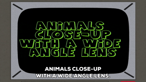 Anime-close-up GIFs - Get the best GIF on GIPHY