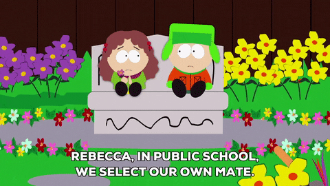 Silly-place GIFs - Get the best GIF on GIPHY