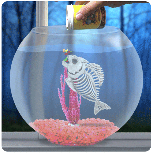 Animated Fish Tank Gif