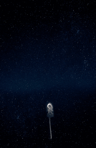 Vertical-motion GIFs - Get the best GIF on GIPHY