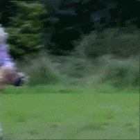 Clumsy Dog GIFs - Get the best GIF on GIPHY