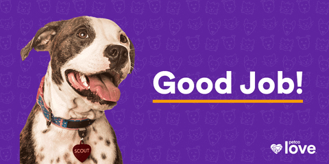 Great Job GIF by Petco Love - Find & Share on GIPHY