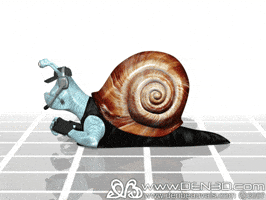 Snail GIFs - Find & Share on GIPHY
