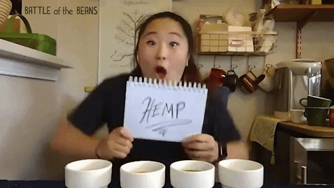 Surprise Win GIF by The Barista League - Find & Share on GIPHY