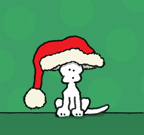Chippy the Dog's Merry Christmas to all! by Chippy the Dog | GIPHY