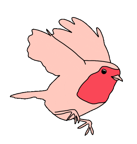 Cartoon Bird Flying Gif