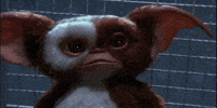 Gizmo Rambo Gif