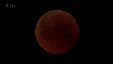 Sunday Lunar Eclipse GIFs - Find & Share on GIPHY
