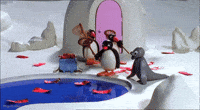 Pingu GIFs on GIPHY - Be Animated