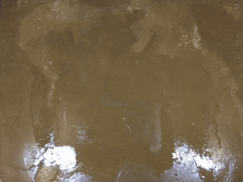 Fields Of Mud Seeds Of Hope GIFs - Get the best GIF on GIPHY