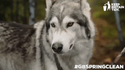 Keep-britain-tidy GIFs - Get the best GIF on GIPHY