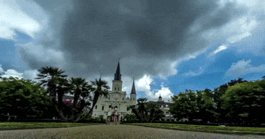 Tallulah Louisiana GIFs - Find & Share on GIPHY