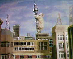 Soundstage GIFs - Get the best GIF on GIPHY