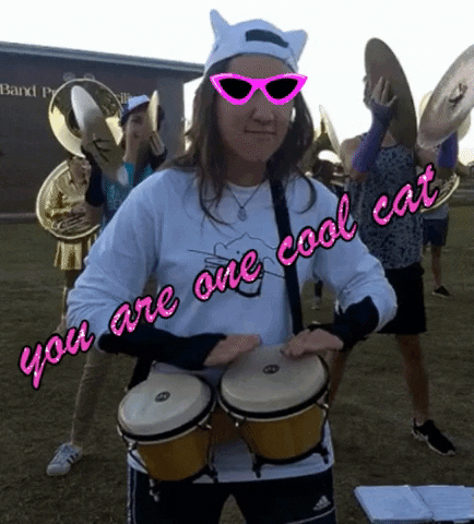 Kool Kat GIFs - Get the best GIF on GIPHY