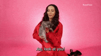 Aw-cat GIFs - Get the best GIF on GIPHY