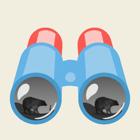 Binoculars GIF by VCCP - Find & Share on GIPHY