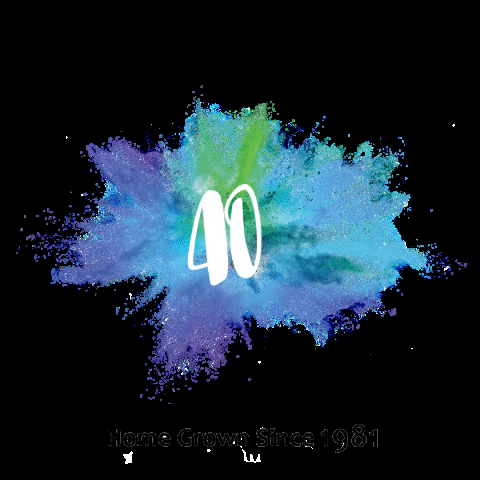 Ink Splatter GIFs - Find & Share on GIPHY