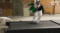 Jackass 3 Gif