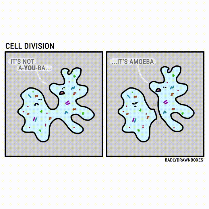 Cell Division Comic