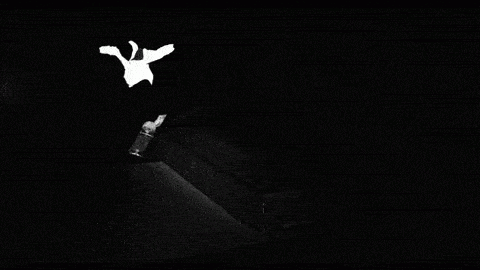 Flip-kick GIFs - Get the best GIF on GIPHY