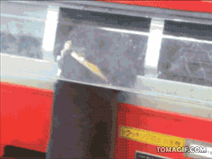 Vending-machine-otter GIFs - Get the best GIF on GIPHY