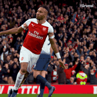 Celebrate Premier League GIF by Arsenal - Find & Share on GIPHY