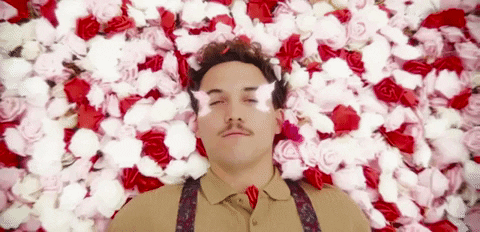 Day Us Beautiful GIFs - Get the best GIF on GIPHY