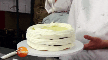 Cake Boss GIFs - Find & Share on GIPHY