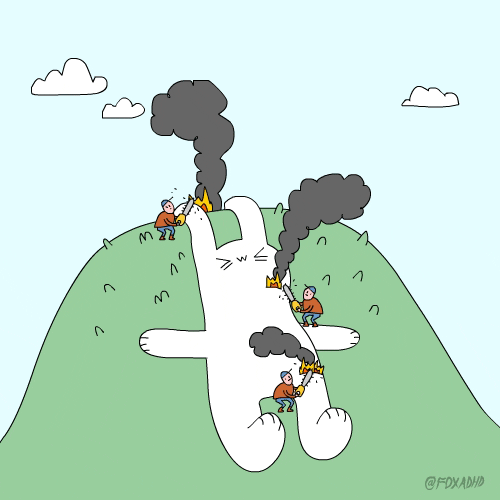 Taoyuan Land Art Festival GIFs - Get the best GIF on GIPHY