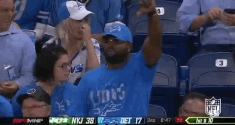Detroit Fans GIFs - Get the best GIF on GIPHY